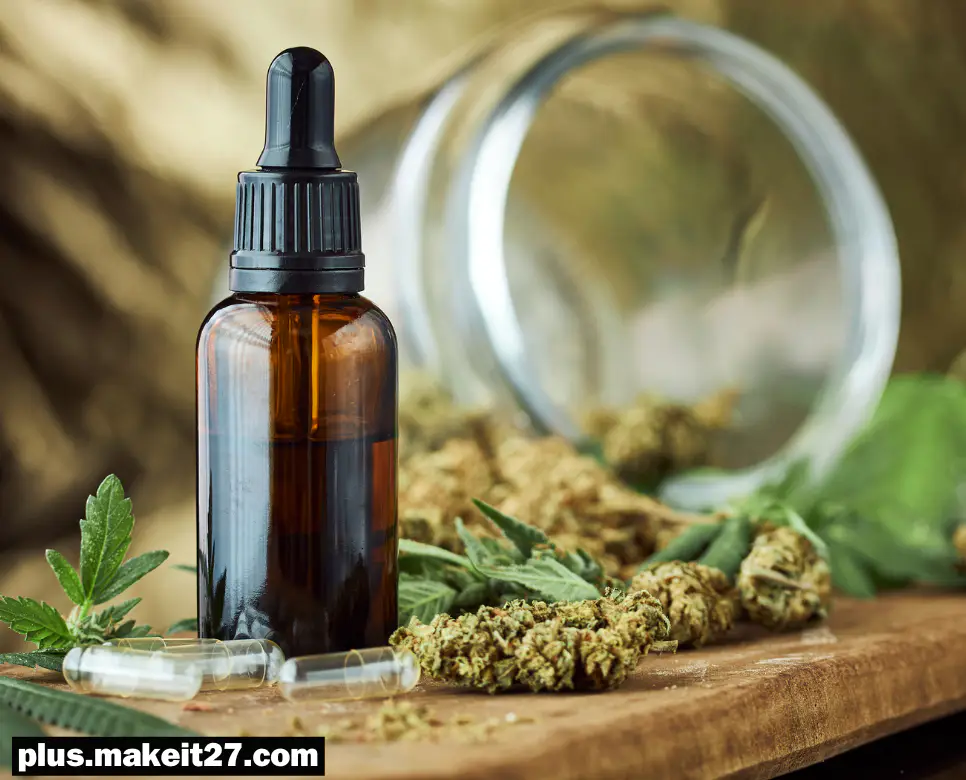 CBD 뜻, IPA 뜻, HP 뜻 총정리! - Plus27